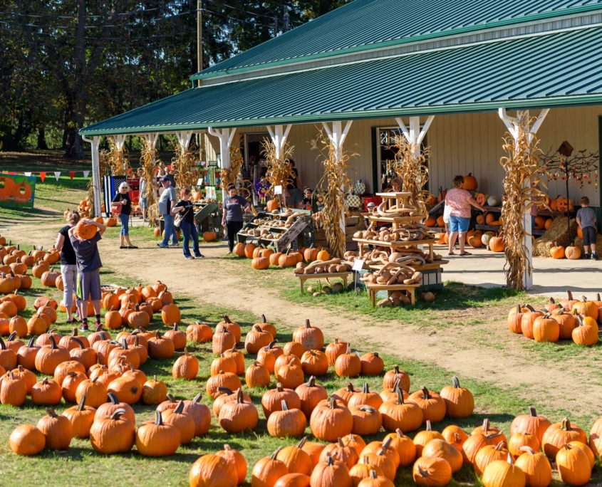 Fall Fun on the Farm | Explore Mahoning