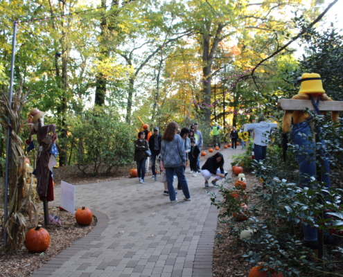 Fall Festivals & Events | Explore Mahoning